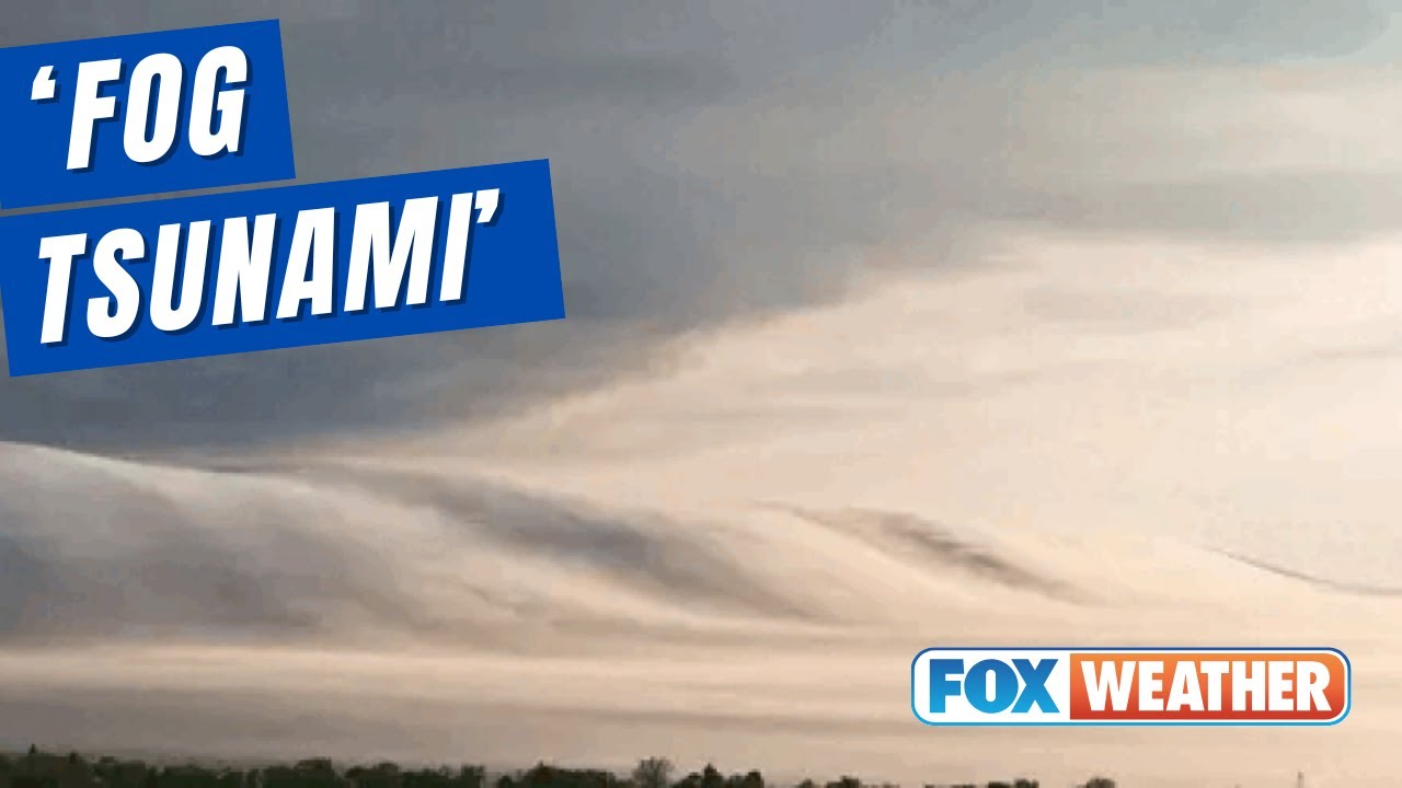 Mesmerizing Footage Shows 'Fog Tsunami' Rolling Over Lake Michigan ...