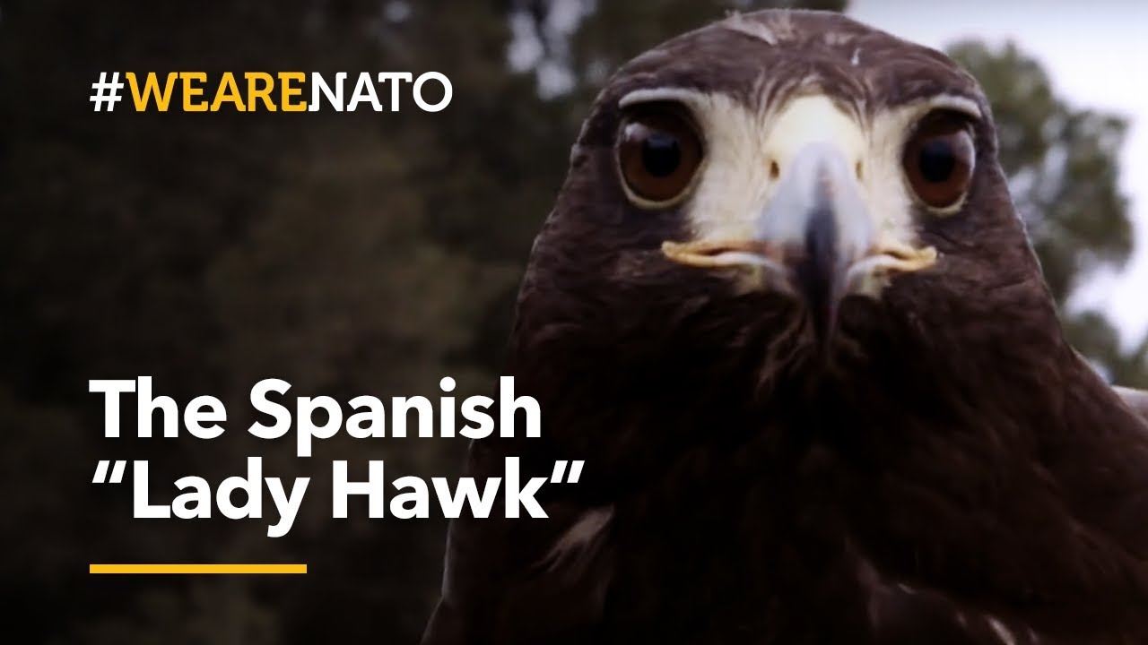 The 🇪🇸Spanish “Lady Hawk” - #WeAreNATO - YouTube