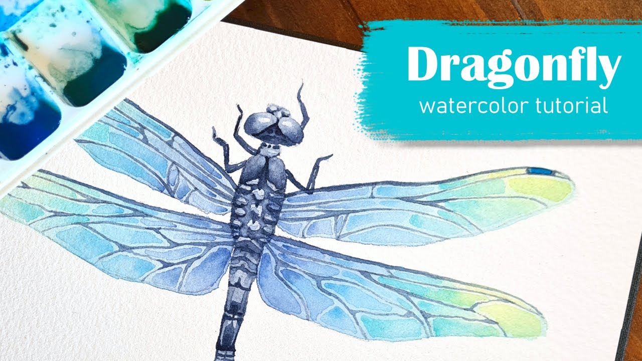 How to Paint a Dragonfly in Watercolor - YouTube