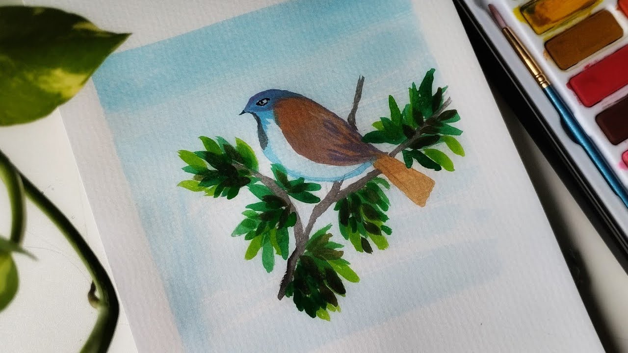 How to draw Tailor bird.Easy bird drawing idea step by step. Water ...