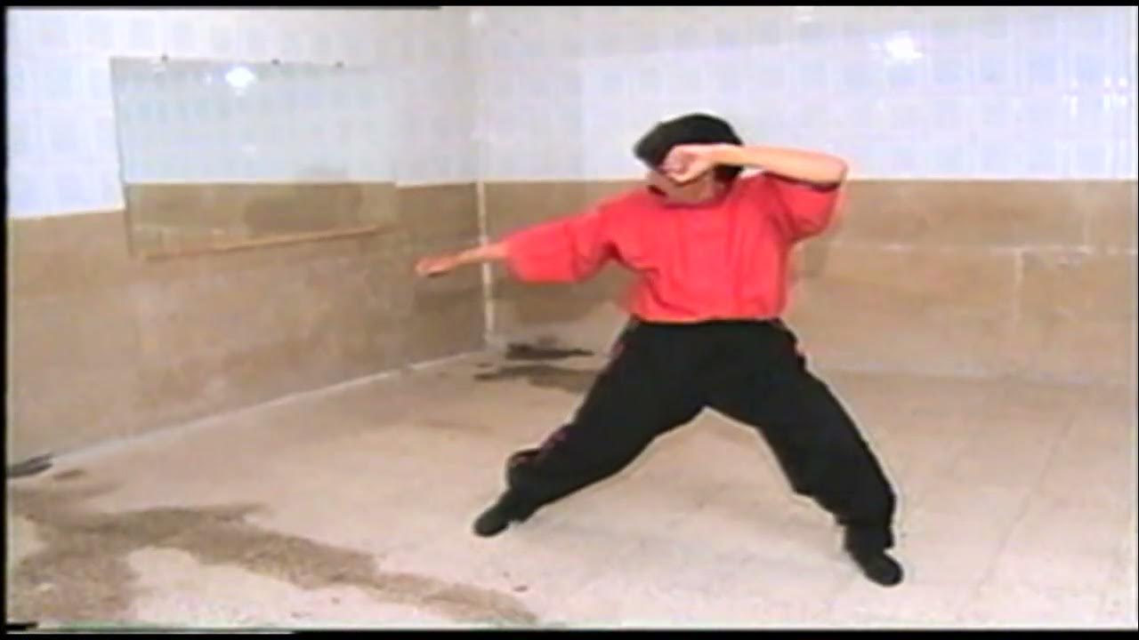 آموزش خط دو کونگ فو توسط جهانبان استاد سلیمان نوروزی kungfu #wushu #wingchun #brucelee - YouTube