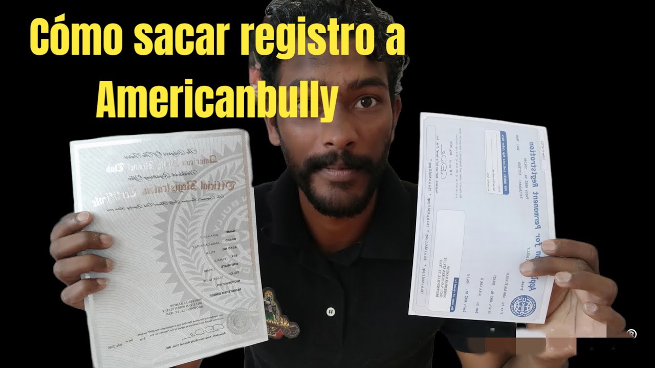 como puede sacar registro a Americanbully (ABKC Y UKC) , (permanente ...