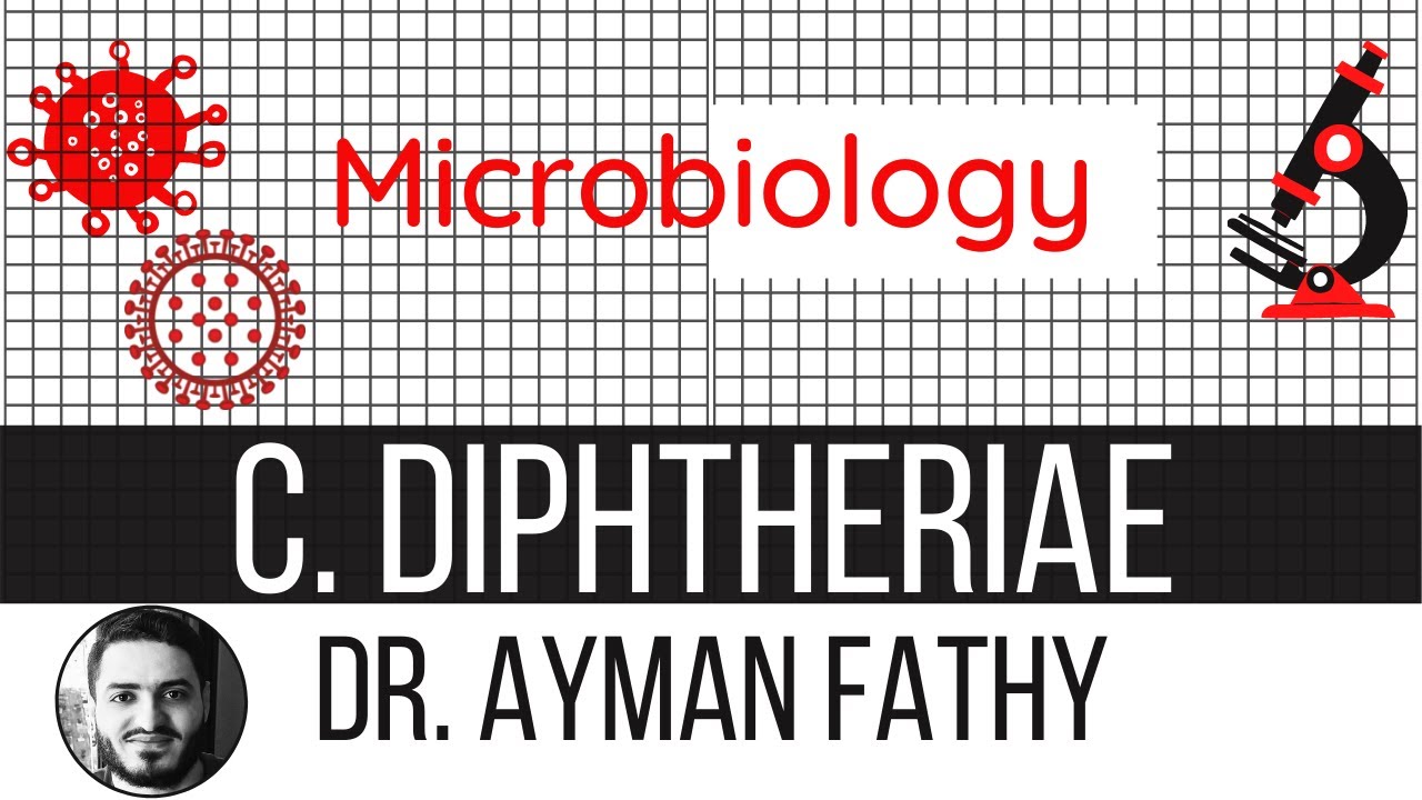Corynebacterium diphtheriae - USMLE Step 1 Microbiology - Dr. Ayman ...