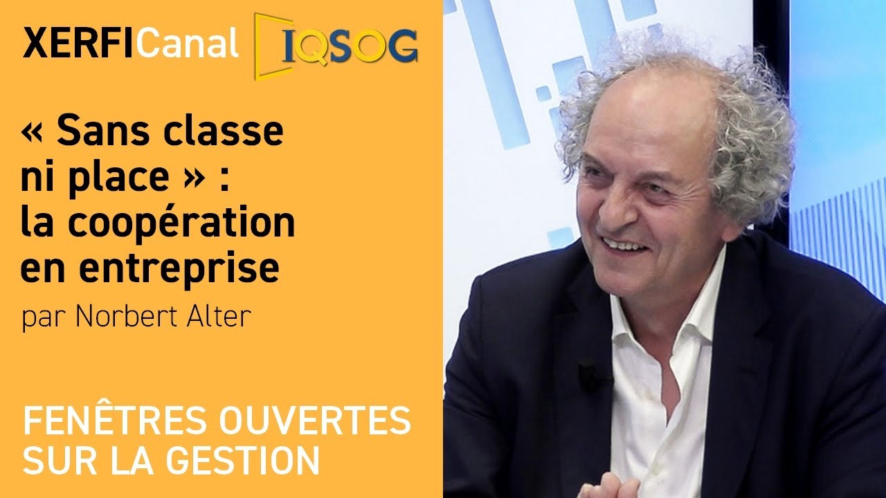 « Sans classe ni place » : la coopération en entreprise [Norbert Alter ...