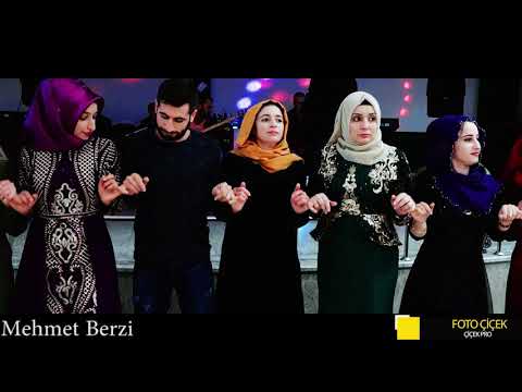 Mehmet Berzi Super Grani New 2020 Foto Çiçek