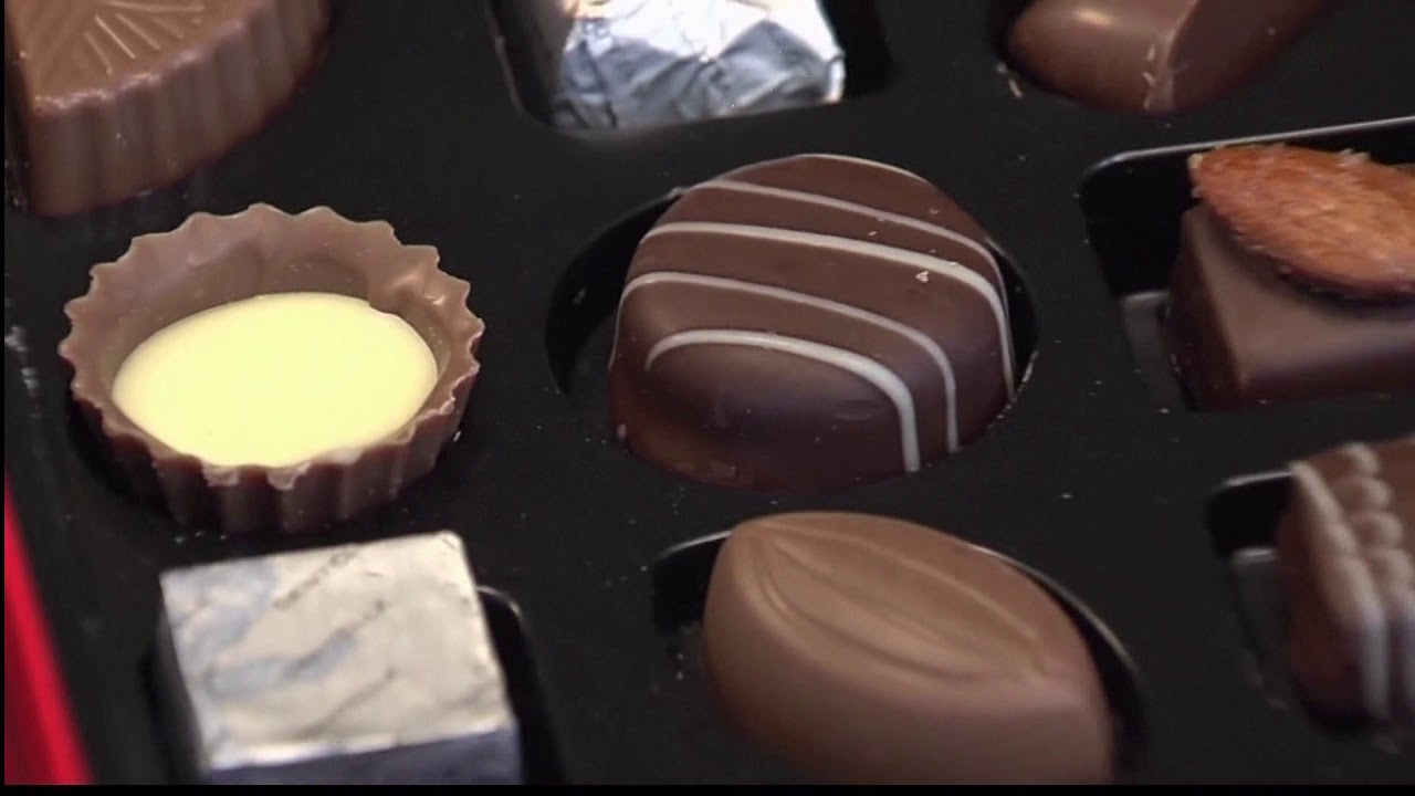 Chocolate Danger To Dogs - YouTube