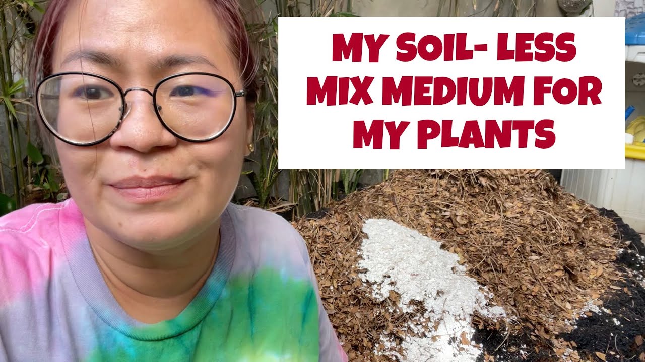 MY SOIL-LESS MEDIUM FOR MY PLANTS (MAGHALO TAYO NG LUPA AT MAGTANIM ...