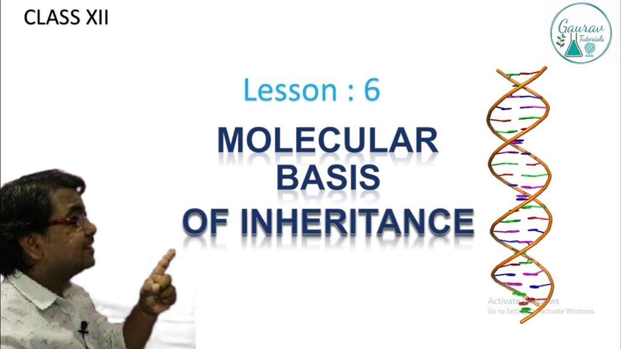 Molecular Basis Of Inheritance Class 12 - YouTube