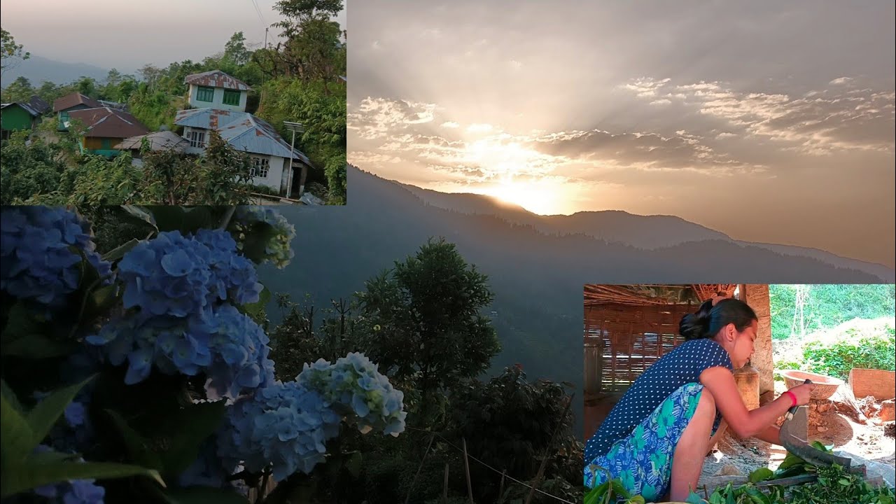 Today vlog Ghar Kai Kam gardai. ️#familyvlog#villagelife#sachetan fuyal ...