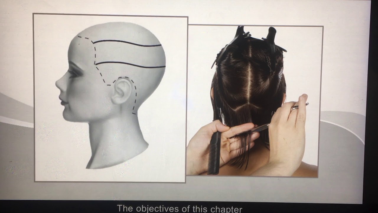 Chapter 9.1 Haircutting theory - YouTube