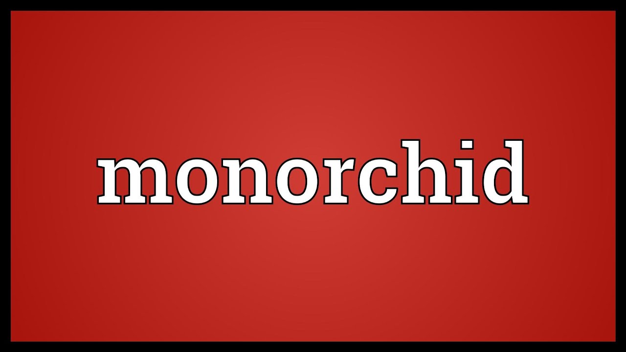 Monorchid Meaning - YouTube
