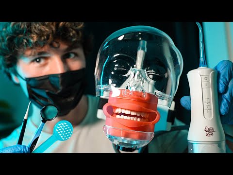 ASMR🦷 The MOST Relaxing Dentist Roleplay (Teeth Cleaning)