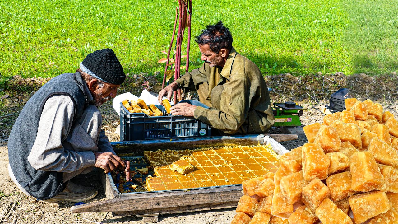 Preserving the Gift of Nature | Organic Jaggery Making Process by Old ...