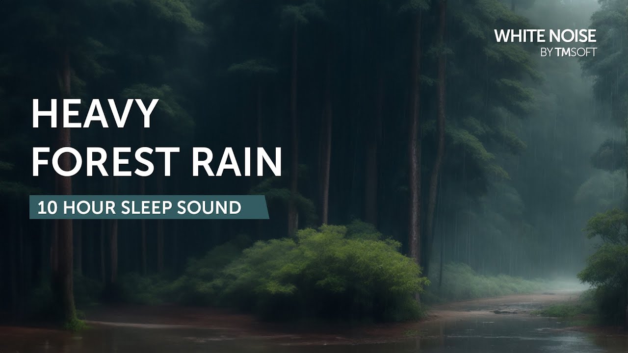 Heavy Forest Rain - 10 Hours Sleep Sound - Black Screen - YouTube