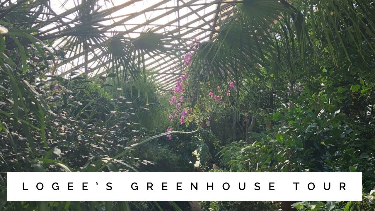 Logee's Greenhouse Tour! | rare house plants - YouTube