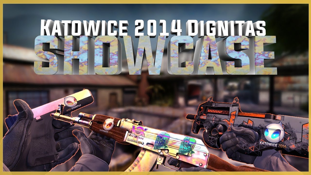 Dignitas (Holo) Katowice 2014 Sticker Collection (Loadout Showcase ...