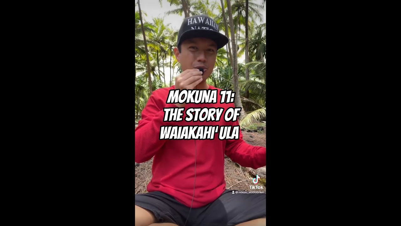 Mokuna 11: The Moʻolelo of Waiakahiʻula (Hawaiian Beaches Subdivision ...