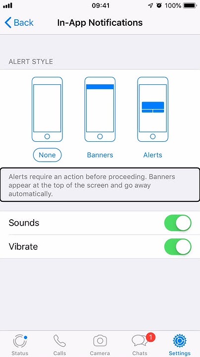 #Vlog Number 15: How to fix the WhatsApp VoiceOver Focus Stealing Issue - YouTube