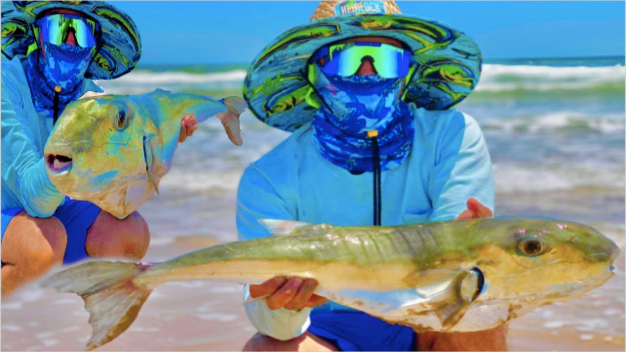 Giant SMOOTH PUFFER Fish Caught off of SPI - YouTube