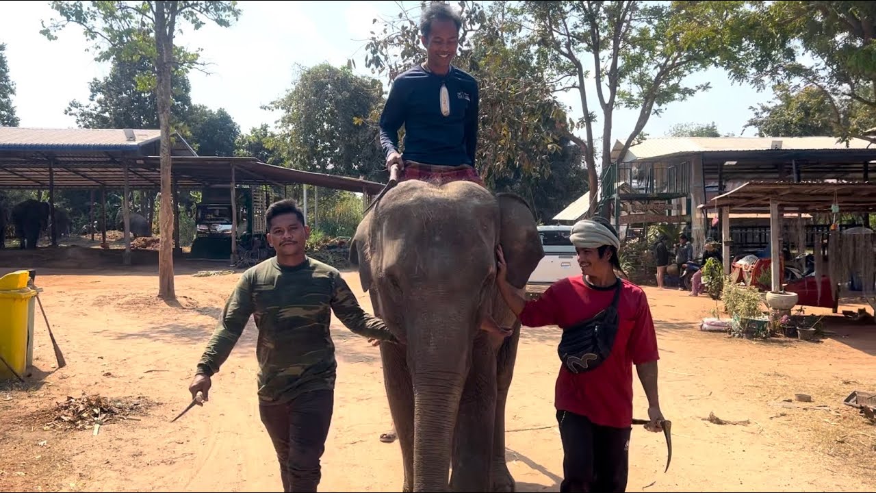 ตื่นเต้น‼️มาก #supansa จะย้ายไปอยู่#บ้านพี่ฟิล์ม - YouTube