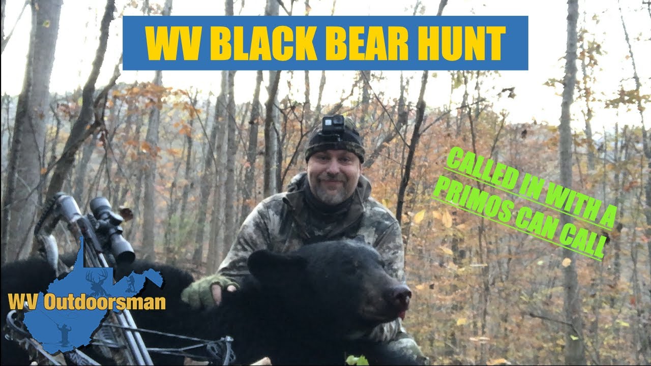 2020 WV Black Bear Crossbow Hunt (Bear called in with a Primos Can ...