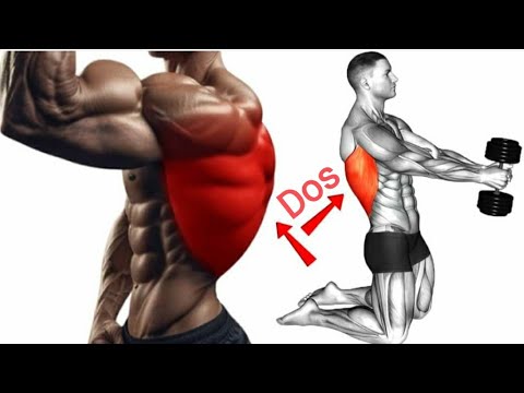 Exercice Dos efficace pour développé les muscles | Meilleurs exercices ...