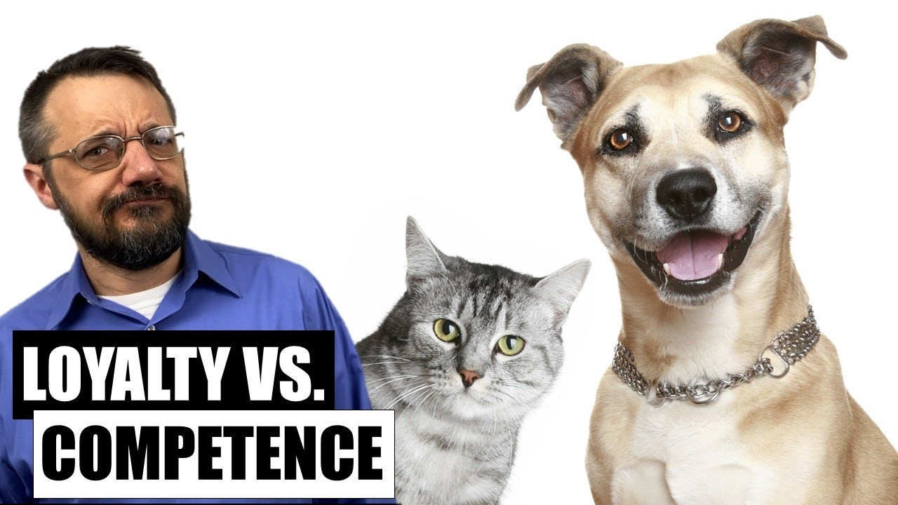 How Bureaucracy Works: Loyalty vs. Competence - YouTube