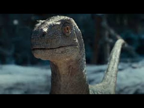 JWD tv spot “beta” 7 - YouTube