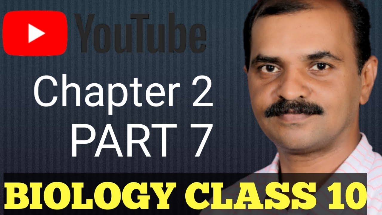 Class 10 Biology chapter 2 Part 7 - YouTube