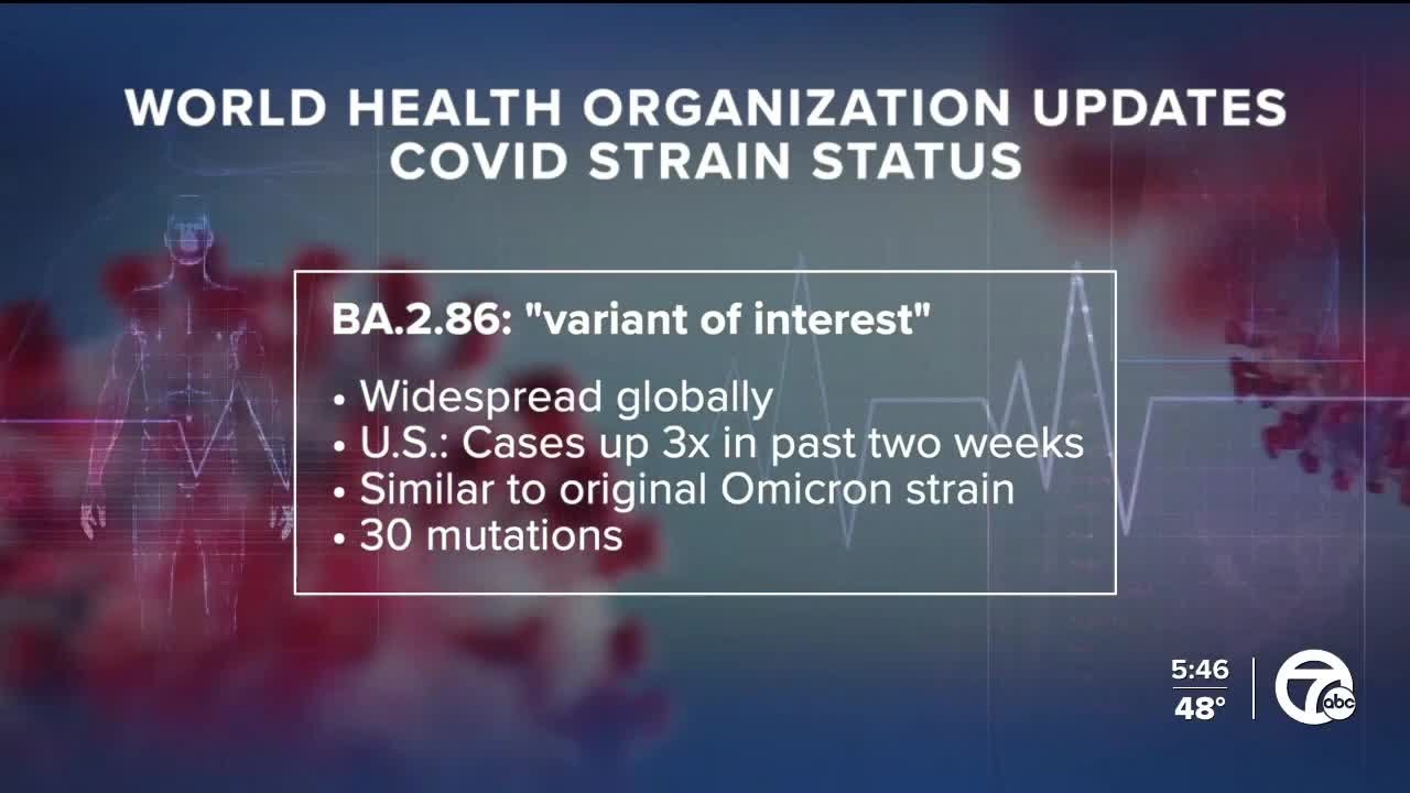 World Health Organization classifies new coronavirus strain as 'variant ...