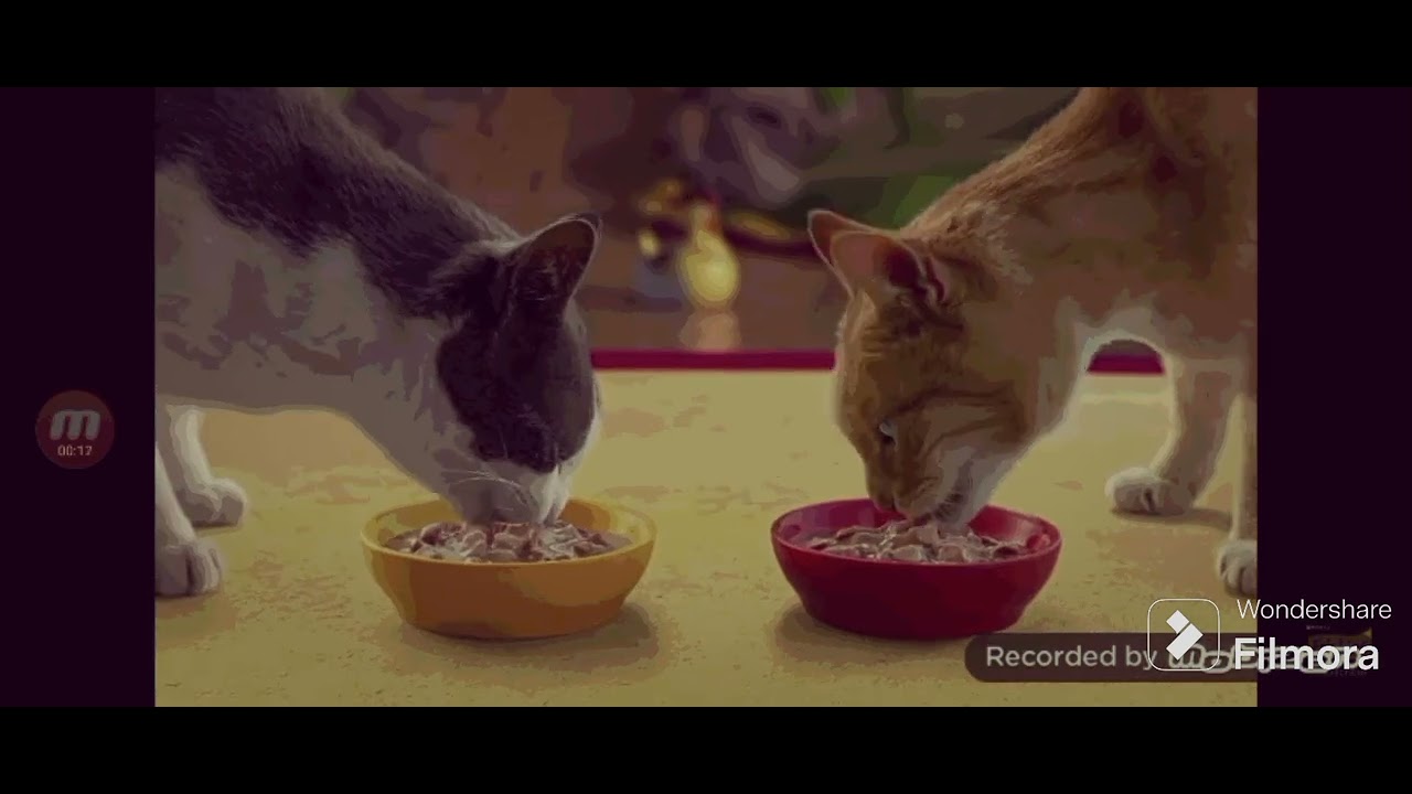 friskies world commercial powercitynight filmora version #music # ...