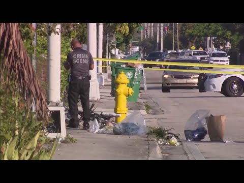 Police: Bicyclist killed in hit-and-run crash in Miami