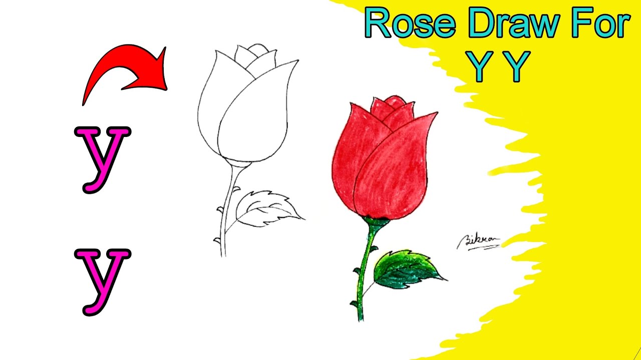 How to Draw Rose for Y Y || How to Draw a Rose || Y For Rose Drawing ...