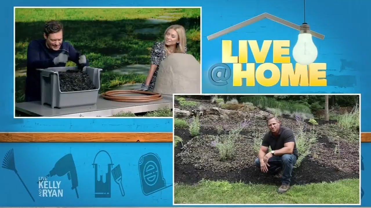 Live @ Home: Landscaping Made Easy with Jason Cameron - YouTube