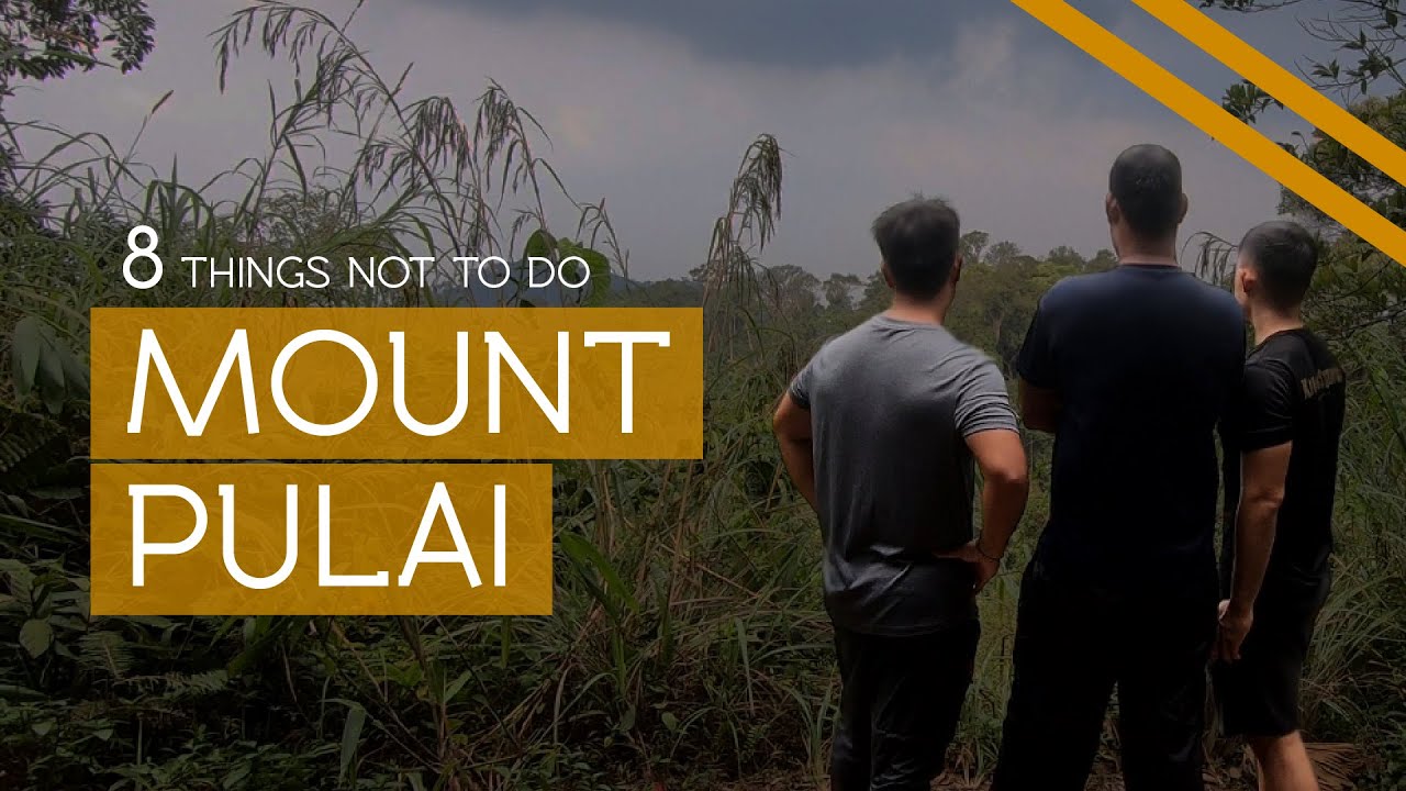 8 Noob Hiking Tips To Gunung Pulai (Mount Pulai, Johor) | The Not To Do ...