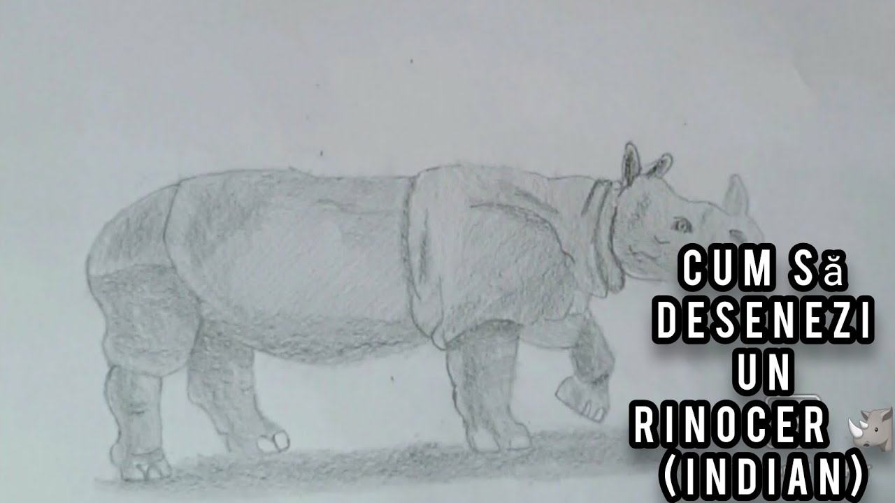 Cum desenez un Rinocer 🦏 (Indian) | Desene în creion | - YouTube