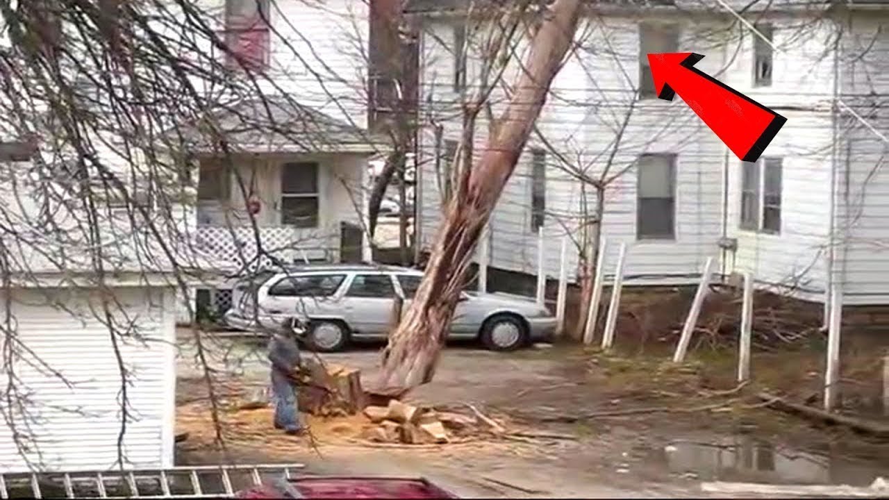 Tree Cutting Fails Compilation And Idiots | Amazing Skill Cutting Tree ...