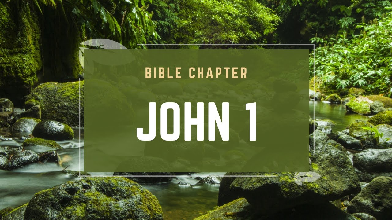 The Bible Gospel Of John Chapter 1 YouTube