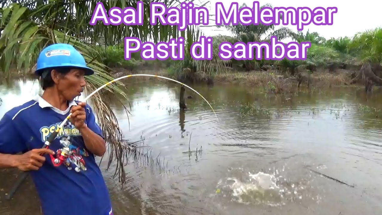 Sport mancing rawa rawa Asal Rajin melempar pasti di sambar - YouTube