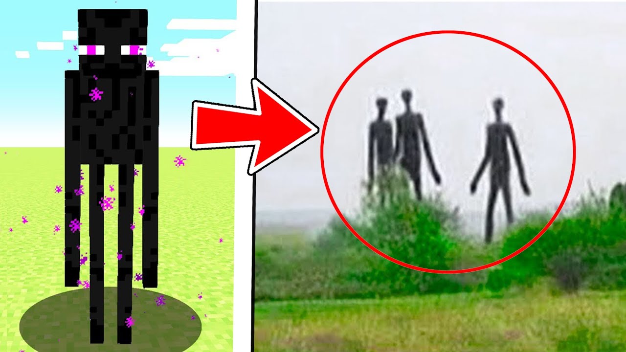 Mobs de Minecraft CAPTADOS EN LA VIDA REAL 😱 - YouTube