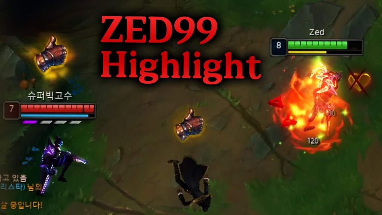시즌 14 ZED99 첫번째 하이라이트! - YouTube