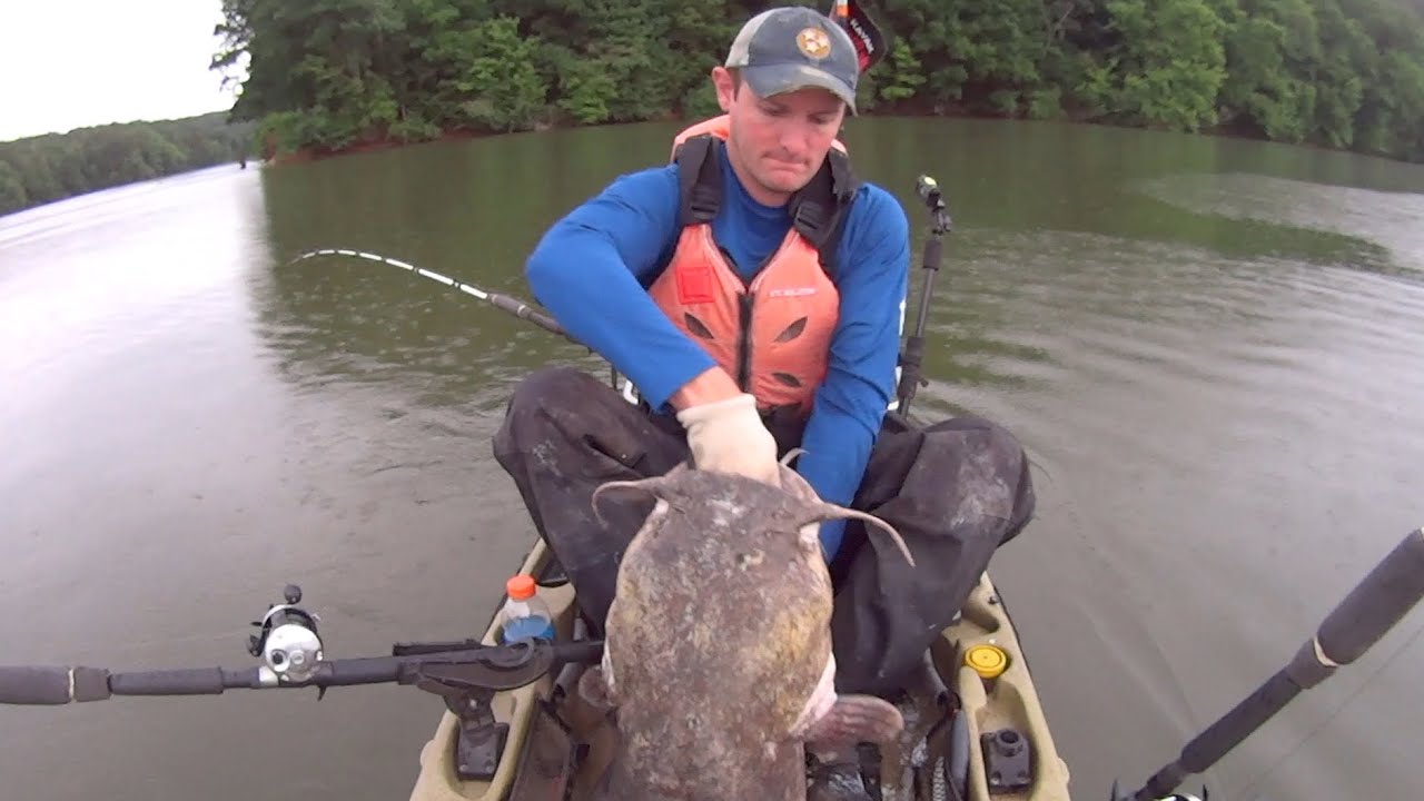 BIG Flathead Catfish Caught While Kayak Fishing - YouTube