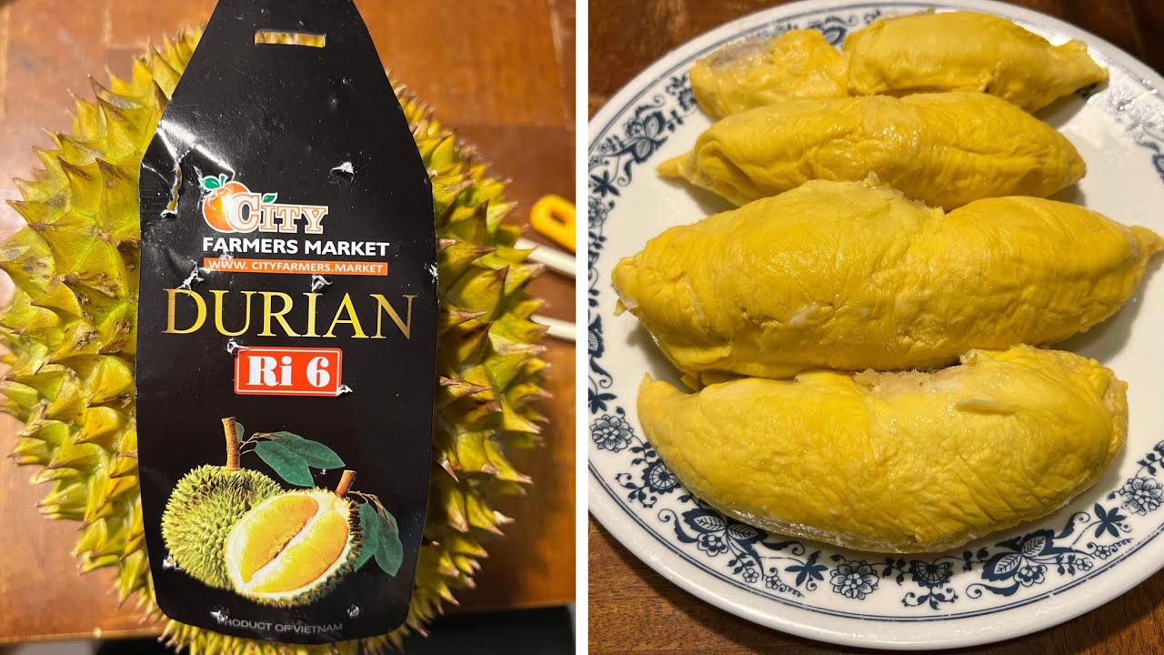 Durian Ri6 The Best Durian this year - YouTube