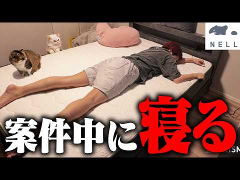 【爆睡】NELLマットレスのPR配信中に寝てしまうBiju