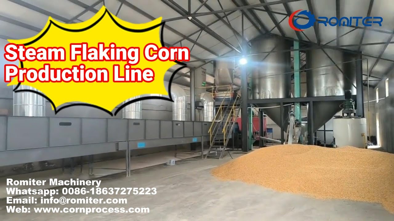 Automatic Steam Flaked Corn Feed Making Line - YouTube