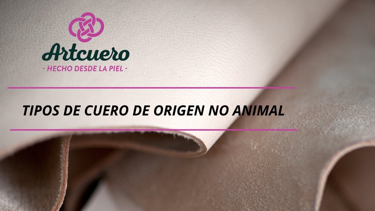 Tipos de cuero: Cueros de origen no animal - YouTube