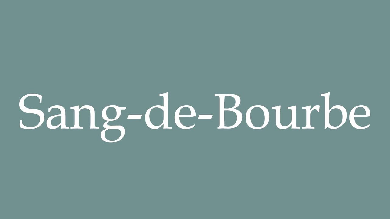 How to Pronounce ''Sang-de-Bourbe'' (Mudblood) Correctly in French ...