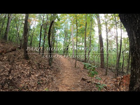 Paris Mountain State Park - Sassafras Loop Trail 4K - YouTube