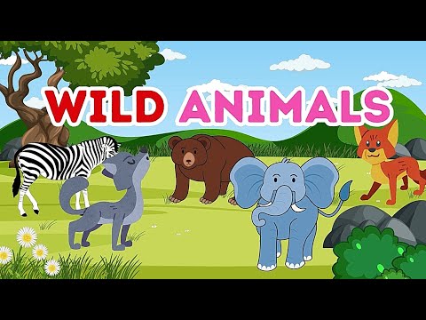 Wild Animals: Learn and Explore the Animal Kingdom! - YouTube