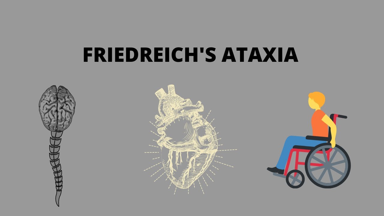 Friedreich's Ataxia | Genetics | Clinical features | Variants ...